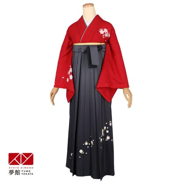 【発売日：2025年08月01日】【商品番号 】HG1089先生袴（訪問着+袴セット） 華やかな赤色に、水色・黄色・紫の暈しを施し、小桜文様を散りばめたお着物です。鮮やかな赤が印象的な訪問着です。【 ブランド 】-【 着物寸法 】袖丈49c...