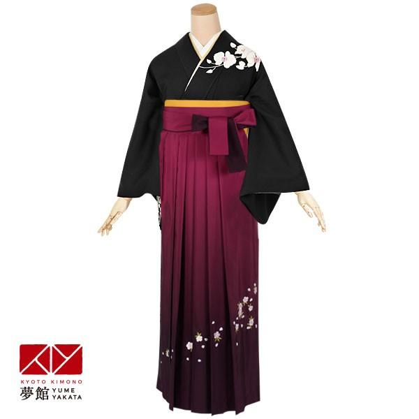 【発売日：2025年08月01日】【商品番号 】HG495先生袴（訪問着+袴セット） シックな黒地に優雅な白牡丹と胡蝶蘭を描いた、エレガントなお着物です。シンプルでモダンな図柄にさりげなく添えられた金彩が美しい、洗練されたデザインです。【 ...