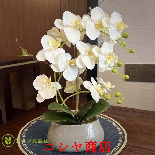 窓際や玄関、チェストの上などお部屋の色々な場所でお楽しみいただけるデザインです。室内空間の美しさを引き立たせるグリーンやフラワーは、インテリアの仕上げには欠かせないアイテムです。お部屋のインテリアの演出に、店舗やイベントのディスプレイにもお...