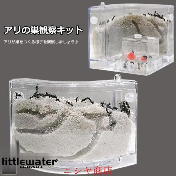 アリの巣　あり観察キット　アリの巣観察キット　アリ　巣　観察　飼育ケース　砂　自由研究 小学生 キット あり 蟻 飼育セット 実験セット 観察 工作 男の子　女の子　夏休み　学習用　おもしろ実験　