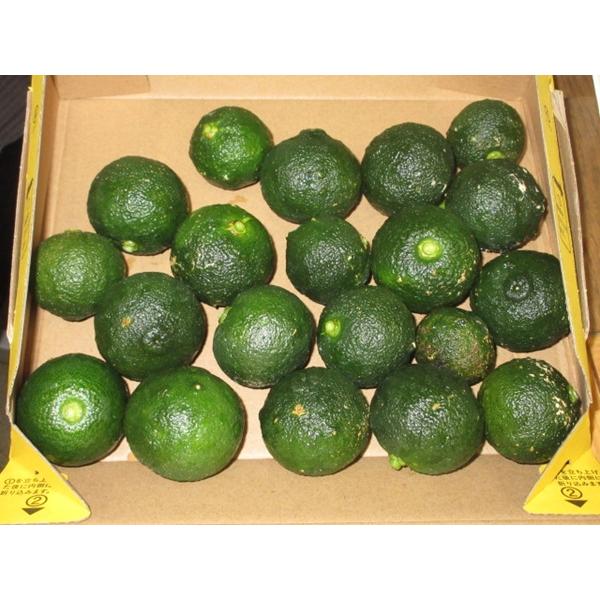 ■商品名　：柚木産　特選品青柚子■内容量　：小玉〜ゴルフボール大：20個■配送方法：福通JP便■送料　　：本商品は送料込みでご自宅直送可能ですが、置き配できませんので対面受け取り限定です。特に無農薬栽培を目指しているわけではありませんが、人...