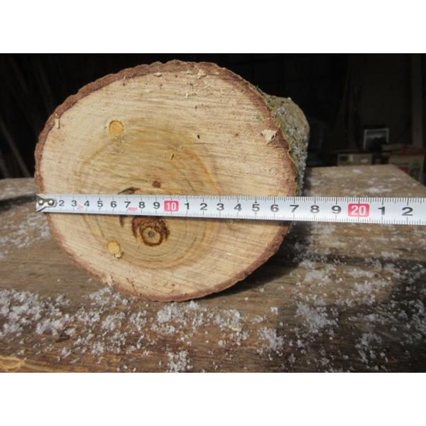 ※スマホで閲覧の際は「商品説明をもっとみる」をタップしていただくと、送料表のリンクと商品の詳細情報が確認できます。■商品名　：平茸ホダ木　平置き式※加川椎茸（株）種駒使用■セット内容　原　木　：徳地産　クルミの木　極太サイズ　　入り数　：2...