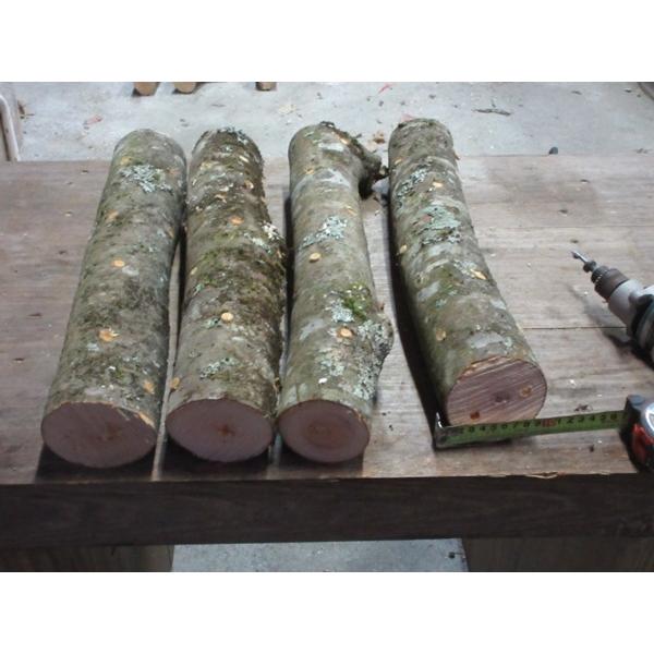 ※スマホで閲覧の際は「商品説明をもっとみる」をタップしていただくと、送料表のリンクと商品の詳細情報が確認できます。■商品名　：ナメコホダ木　原木　短木　標準サイズ　※加川椎茸（株）種駒使用■セット内容原　木　：徳地産　ウラジロ樫サイズ　：約...