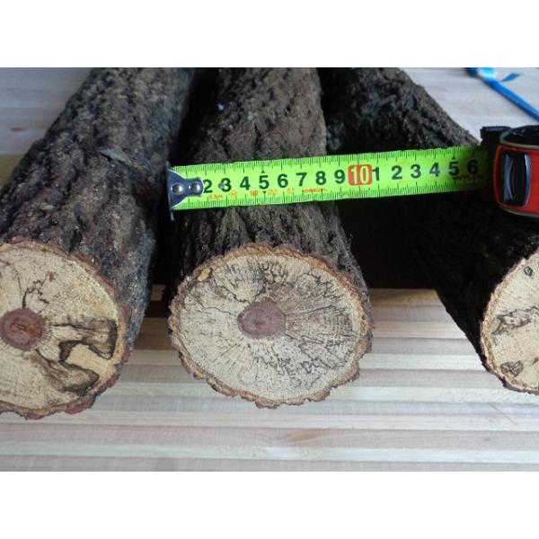 商品名　：椎茸の成る木：榾木（ほだぎ）標準サイズ：鳥取県産菌興115号種駒使用セット内容　原木：徳地産　楢：クヌギ　約90cm（長）×直径8ｃｍ前後〜１２ｃｍ前後（植菌駒数１本当たり25個前後）　2本組（24kg以内で径球を調整させて頂きま...