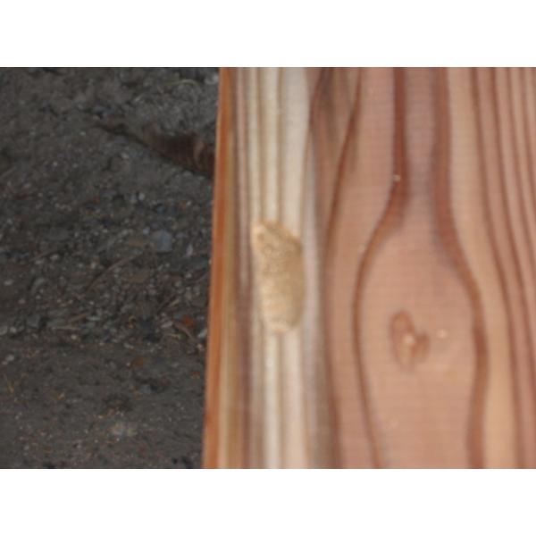 ※スマホで閲覧の際は「商品説明をもっとみる」をタップしていただくと、送料表のリンクと商品の詳細情報が確認できます。商品名　　　　　　：杉板加工形状・仕上げ　：K・D・P（人口乾燥・プレーナー仕上）サイズ　            　：約900...