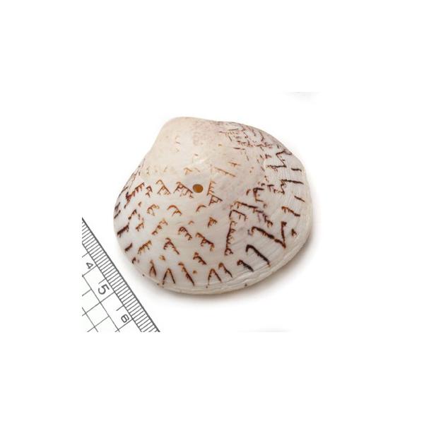 ☆サイズ約30×36×25mm(写真は一例です)☆模様の入り方などは1つずつ異なります。 ディスプレイ、インテリア、デコレーションやハンドメイドの材料として最適です。自然のもののため、サイズや形にばらつきや傷、欠けのある場合もありますがご了...