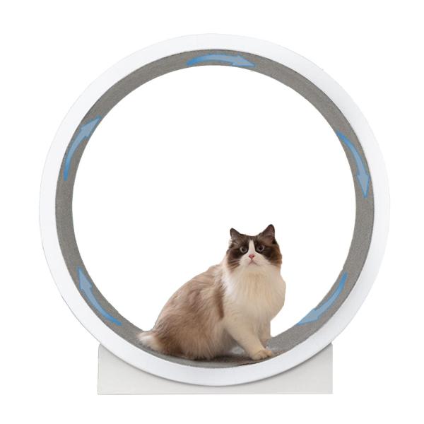 【健康のために】猫はぽっちゃりしてかわいいですが、猫の健康はさらに重要です。 キャットホイール 肥満の問題、消化不良、身体の衰弱、うつ病、糖尿病、心臓病、骨・関節疾患などの病気の可能性を減らすことができます。【軽量ABS素材】滑走路は高強度...