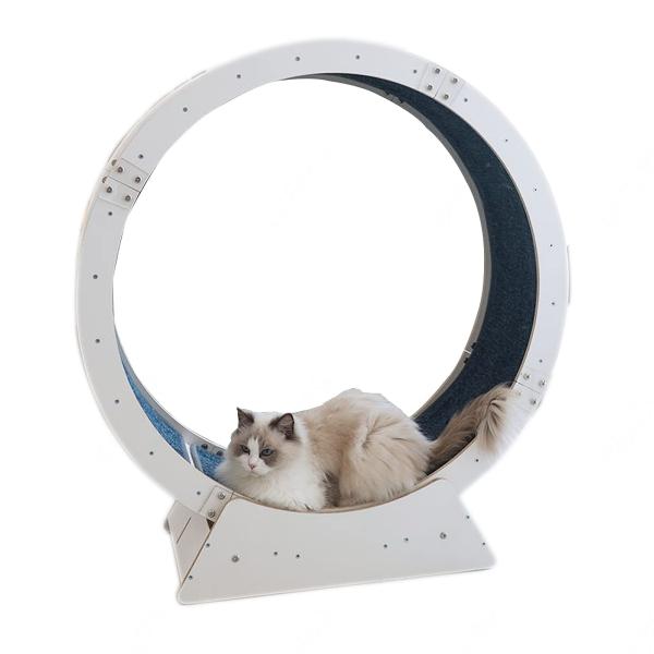 【猫のメリット】: 運動は猫の寿命を延ばし、この猫の運動おもちゃは多くの健康上の利点を提供します。 あなたの猫がそれを気に入ると信じて、猫のエクササイズホイールの猫は猫がより良い運動をし、遊んでいる間健康を保つのを助けることができます.【低...