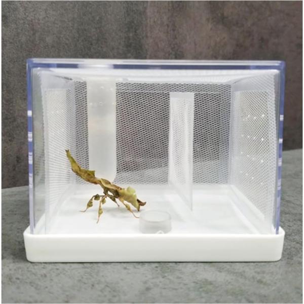 カマキリは脱皮するときに逆さまにぶら下がる習性があるため、這う必要があります。 孵化したばかりのカマキリを飼育し、脱皮して成長していく過程を体験できます。高精細な鑑賞体験：飼育箱は高精細なアクリル素材で作られており、前面にガーゼネットがない...