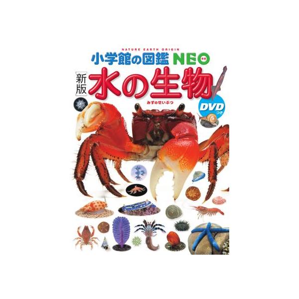 品名:水の生物-ＤＶＤつき 新版出版社:小学館著者:発売日:2019/6/24価格:2640円(税込)判型:Ａ４ISBN:9784092173071NEO「水の生物」が大リニューアル  水の環境にすむ生物のなかで、特に背骨をもたない「無脊椎...
