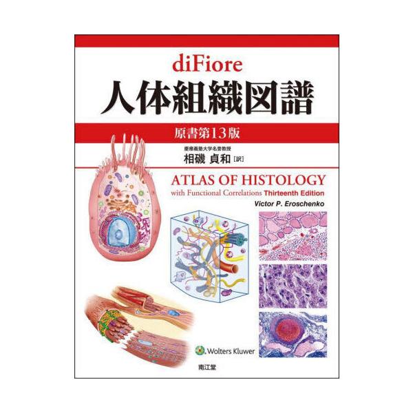 品名:ｄｉＦｉｏｒｅ人体組織図譜 原書第１３版出版社:南江堂著者:ヴィクタ-・Ｐ．エロスチェンコ 相磯貞和発売日:2025/4/25価格:9900円(税込)判型:Ａ４ISBN:9784524241811キーワード:ディ フィオレ ジンタイ ...