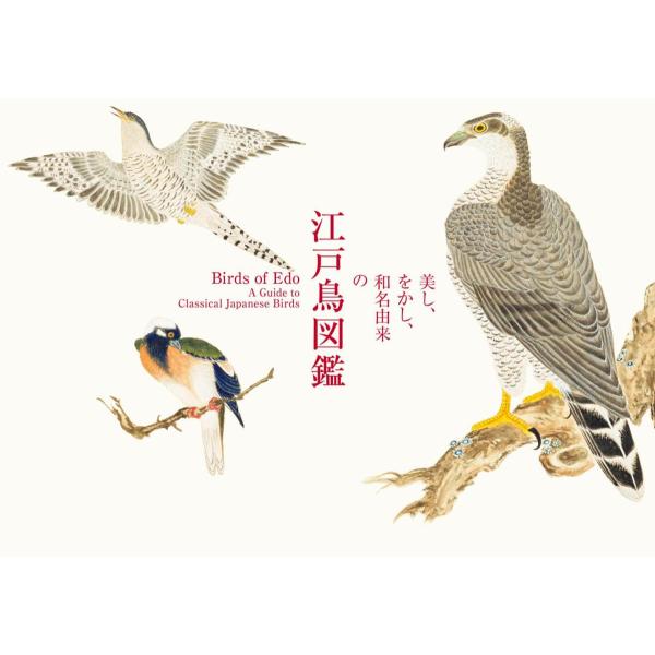 品名:美し、をかし、和名由来の江戸鳥図鑑出版社:パイインターナショナル著者:田島一彦　大橋弘一　価格:3,080円（本体2,800円＋税）発売日:2020年03月判型:Ｂ５ISBN:9784756253217江戸の人を魅了した、精彩を放つ鳥...