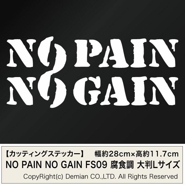 【NO PAIN NO GAIN FS09 腐食調 （ノーペインノーゲイン） カッティングステッカー 大判Lサイズ 2枚組 幅約28cm×高約11.7cm】苦労（努力）無くして得るものなしという意味のステッカーです。アスリートや筋トレファン...