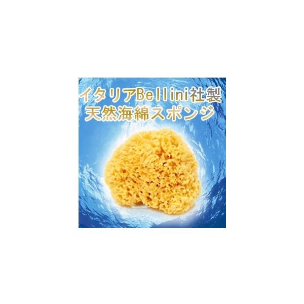 ★商品の発送は定形外郵便での発送となります。（代引支払は不可、荷物の追跡不可）★定形外郵便に関しては配送時の保証がございません。★化粧箱を外して簡易包装で発送する場合がございます。★この商品には、メーカー保証ございません。初期不良品の場合の...