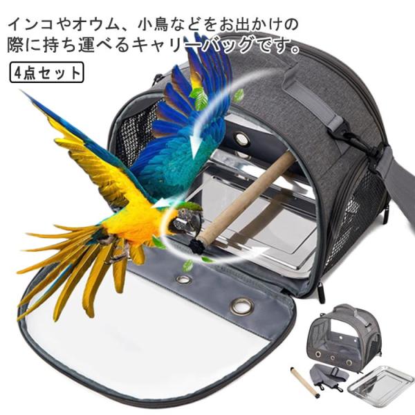 F　33*26*24cm4点セット内容：バッグ本体＋止まり木＋ステンレストレー＋ショルダーストラップ※サイズ表の実寸法は商品によって1-3cm程度の誤差がある場合がございます。