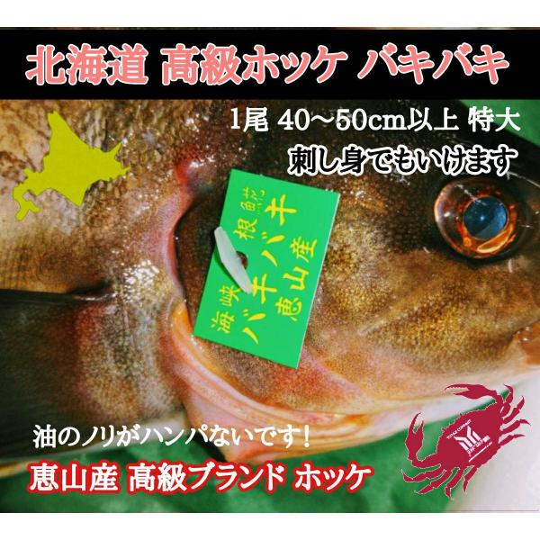 【発売日：2026年01月08日】北海道では大衆魚として広く食べられているホッケ。鮮度落ちが早いことから鮮魚としての流通は限られており、刺身では食べられない魚とされてきたが、えさん漁業協同組合尻岸内ほっけ刺網部会では独自の処理方法により長時...
