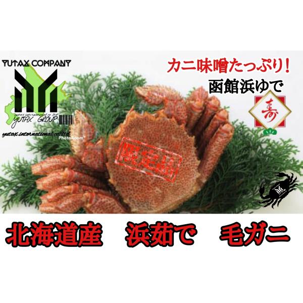身、味噌、ずっしり函館噴火湾産　天然　毛ガニ1kgで2〜3杯水揚げされた毛ガニを塩ゆでし急速冷凍をかけてから発送贈り物に大変喜んでいただいております。尚、水揚げ時、間違いなく500g以上の毛ガニを使用しておりますが茹でて急速冷凍するさいに水...
