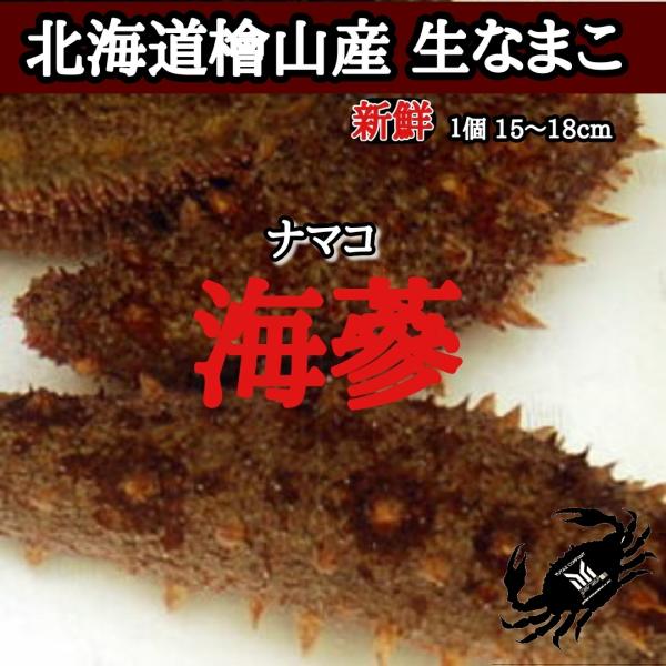 【発売日：2026年01月08日】海底に生息するナマコは、ごろりとしていて表面はぬるぬるで、得も言われぬ姿をしていますが、「海の宝石」とも呼ばれて古来より大切にされてきた食材です。日本各地の沿岸に棲息していて、水温が上がると砂に潜って夏眠す...