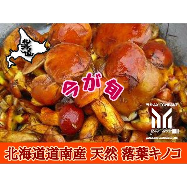 【発売日：2026年09月30日】北海道道南産　天然　落葉キノコご注文を受けてから入山いたしますので鮮度抜群です。10月より早く採取できた場合早めに発送させていただきますが毎年、かなりの予約注文がはいりますので日にち指定した場合多少遅れるば...