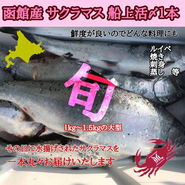 鮮度を最高に保つ為に1尾づつ船上で活締めした今が旬のサクラマスです。脂もたっぷりのこだわりぬいたサクラマスです。■原材料/北海道函館産　サクラマス■内容量/サクラマス1尾　【1尾1〜1.5kg】■保存方法/要冷凍■賞味期限/冷凍保存で1か月...