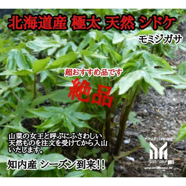 【発売日：2026年05月01日】通が好む山菜シドケ　完全天然物です。自社所有の山で太さを選別しています。https://www.youtube.com/watch?v=3nq7lQ608io■原材料/北海道知内産　シドケ■内容量/500g...