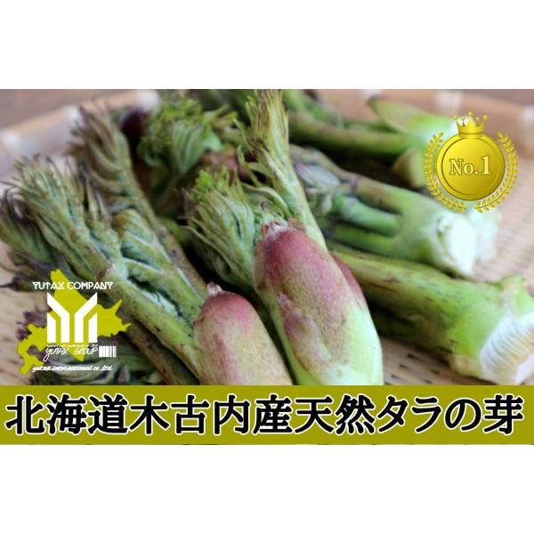 【発売日：2026年04月30日】春ならではの旬の味、完全天然物タラの芽です。■原材料/北海道木古内町産　タラの芽■内容量/タラの芽12個■保存方法/要冷蔵■賞味期限/冷凍保存で1か月※ご注文いただいてから採取し発送致しますので通常1〜3日...