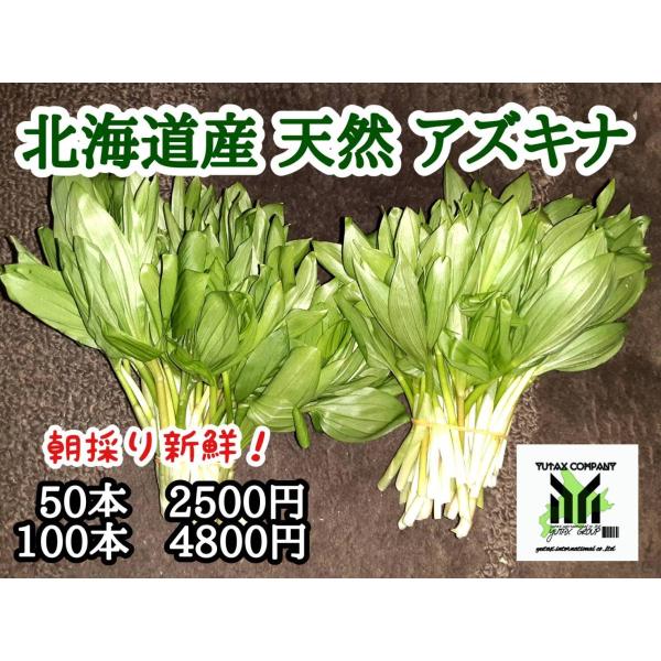 【発売日：2026年04月15日】ユキザサは、ササに似た葉をもち、白い小花を開いた様子は、雪の結晶を散りばめたようでチャーミングです。ユキザサは、茶席にも用いられる事さえあります。ユキザサは、草丈２０〜３０cmと小型の多年草で、ササ状の葉は...