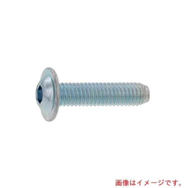 仕様●寸法(mm)d：M6●寸法(mm)L：10●ねじ長さ(mm)：10●ねじ径(mm)：M6●表面処理名：ニッケル材質●鉄(または標準)質量・質量単位●1.695kg【メーカー名】サンコーインダストリー（株）【メーカー品番】A0-00-3...