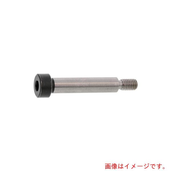 仕様●寸法(mm)d：M8●寸法(mm)L：0●ねじ径(mm)：M8材質●鉄(または標準)質量・質量単位●0.827kg【メーカー名】サンコーインダストリー（株）【メーカー品番】A0-00-6000-00800250-00