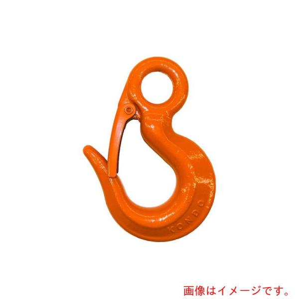 特長●型打ち鍛造なので、非常に丈夫で正確な寸法のフックが形成されてます。仕様●基本使用荷重(t)：0.5●寸法(mm)A：10●寸法(mm)B：20●寸法(mm)C：15.5●寸法(mm)D：35●寸法(mm)E：89.5●寸法(mm)F：...