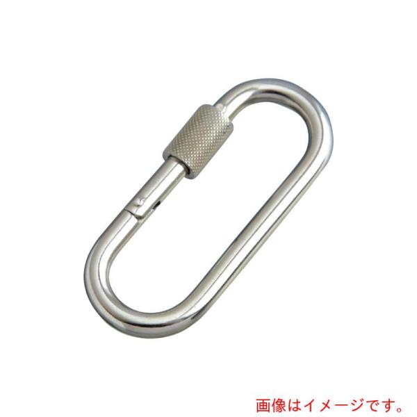 特長●環付は不用意にフックが開くことがなく、より安心です。用途●チェーン・ワイヤ・ロープ等の連結金具として、また端末の金具のジョイントに。仕様●使用荷重(kN)：0.88●D(mm)：6●L(mm)：65●S(mm)：9●W(mm)：19●...