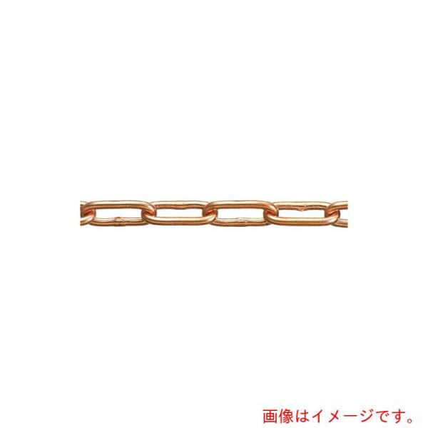 特長●銅の特性を生かしたチェーンです。熱伝導、導電率が高いです。仕様●全長(m)：1.1?2●線径d(mm)：4●内長P(mm)：30●内幅W(mm)：6.5●使用荷重(kN)：0.29材質●銅質量・質量単位●0.596kg注意事項●全長は...