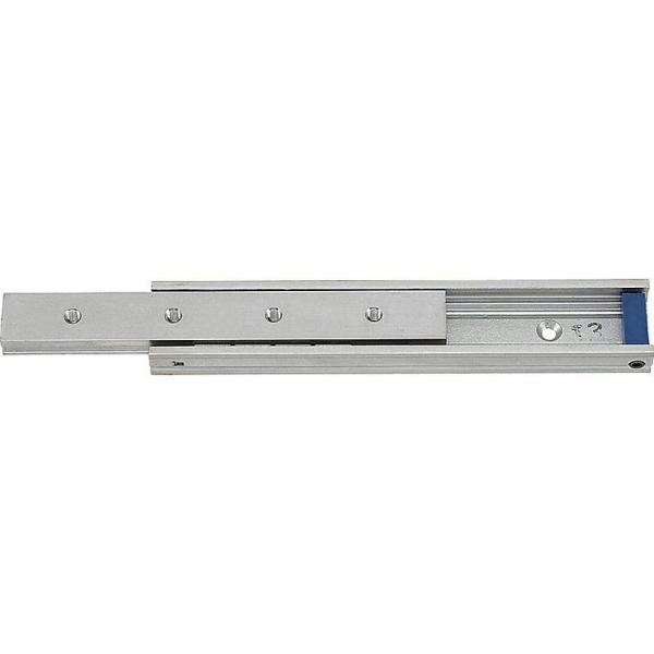 ●3/4スライドの2段引スライドレールです。●レール長さ： 250mm●主な材料： 鋼●高さ： 45mm●移動距離： 130mm●耐荷重/ペア： 1373N●質量/m： 5400g※レールの脱着はできません。※グリスの色違いによる性能上の影...