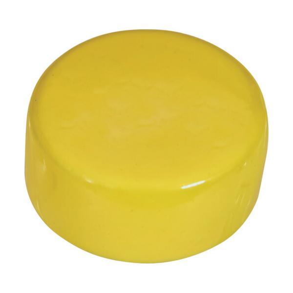 【特長】●耐環境性に優れています。●水に強いです。●フェライト磁石をポリアミドでコーティングしています。【用途】●ホワイトボード、管理ボードなどに。●色： 黄●表面磁束密度（T）： -●吸着力（N）： 6●外径（mm）： 19●厚さ（mm）...