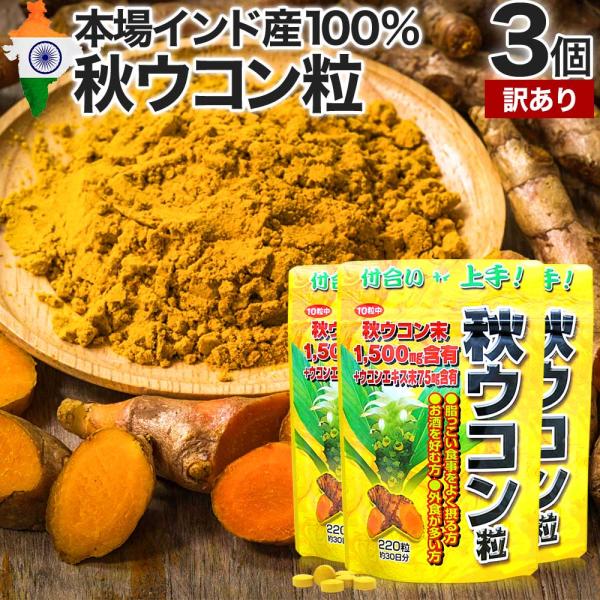 ■検索補助ワードウコンサプリ ウコンサプリメント クルクミン 食品 サプリメント 醗酵 発酵 粒 男性 女性 ウコンエキス末 粒訳あり タブレット 訳ありサプリメント 飲みやすい 飲むサプリメント 補給 クーポン対象 クーポン利用で クーポ...