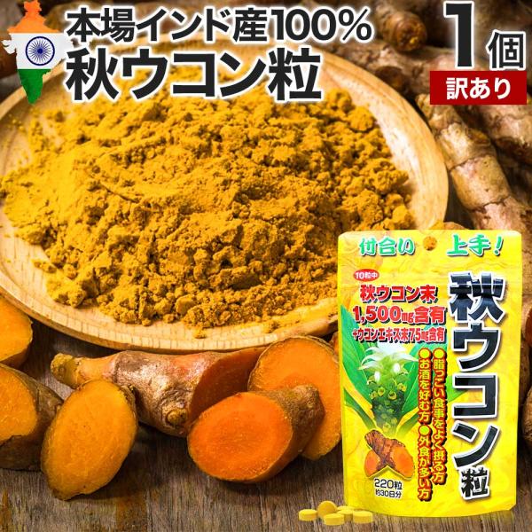 ■検索補助ワードウコンサプリ ウコンサプリメント クルクミン 食品 サプリメント 醗酵 発酵 粒 粒訳あり 男性 女性 タブレット 訳ありサプリメント 飲みやすい 飲むサプリメント 補給 クーポン対象 クーポン利用で クーポンで クーポン配...