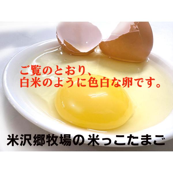 ◎平飼い米っこたまご（6個入）１パック◎賞味期限：産卵日から常温14日◎産地：山形県高畠町「米沢郷牧場」◎鶏の品種は国産品種、「ゴトウもみじ」。餌に、地域のお米（飼料米）を３５％、国産のお米の米ぬかを１５％使用し、その他ポストハーベストフリ...