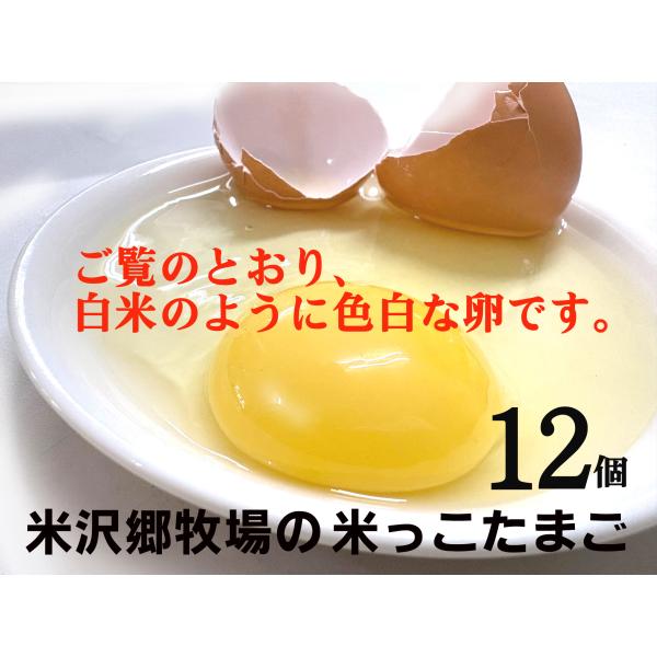 ◎平飼い米っこたまご（6個入）2パック◎賞味期限：産卵日から常温14日◎産地：山形県高畠町「米沢郷牧場」◎鶏の品種は国産品種、「ゴトウもみじ」。餌に、地域のお米（飼料米）を３５％、国産のお米の米ぬかを１５％使用し、その他ポストハーベストフリ...