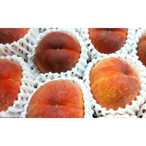 【発売日：2026年08月01日】◆令和7年度農林水産祭「内閣総理大臣賞」受賞。山梨県南アルプス市　M.A.C.Orchardの桃の中で、厳選したギフト用の桃をお届けします。桃を育てて40年、桃作りのプロが厳選した美味しい桃。農薬をできるだ...