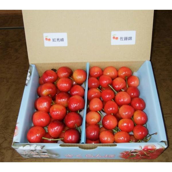 【発売日：2026年06月14日】◆予約品につき収穫開始後ご注文順に発送させて頂きます。お受け取りできない日などございましたら、ご注文の際にストアへのご要望欄にご記入ください。◆山梨県南アルプス産。名人、西尾さんの育てたさくらんぼ！美味しい...
