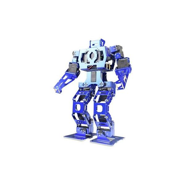 Metal 15 Dof Biped Robot With Servo Humanoid Robot Fighting Robot For Programメタル15 DoFバイプドロボットとサーボヒューマノイドロボットがプログラムのための戦...
