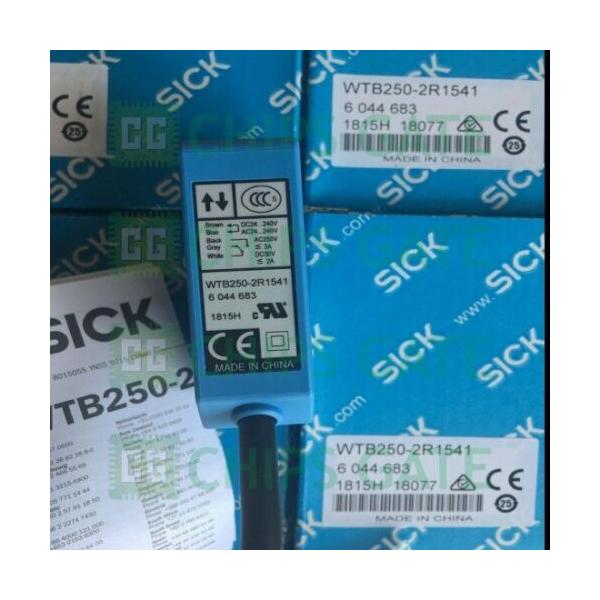 1PCS NEW SICK WTB250-2R1541 60446831PCS新しいSICK WTB250-2R1541 6044683