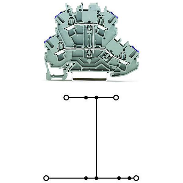 Feed-through/thru terminal block with 2-decks/levels (double-deck) + internal commoning - Suitable for Ex e II applicati...