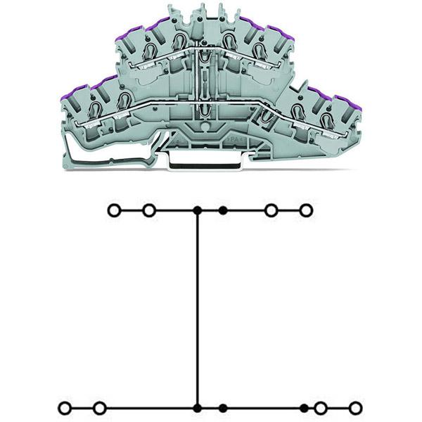 Feed-through/thru terminal block with 2-decks/levels (double-deck) + internal commoning - Suitable for Ex e II applicati...