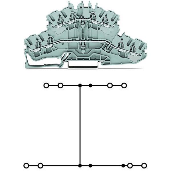 Neutral-through terminal block with 2-decks/levels (double-deck) + internal commoning - Suitable for Ex e II / Ex I appl...