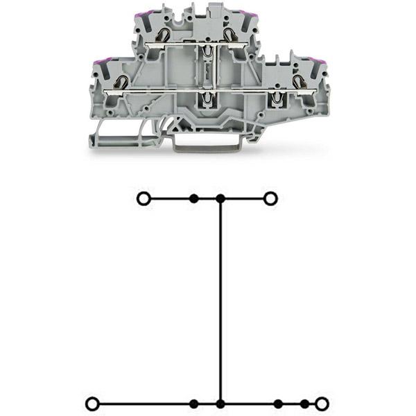 Feed-through/thru terminal block with 2-decks/levels (double-deck) + internal commoning - Suitable for Ex e II applicati...