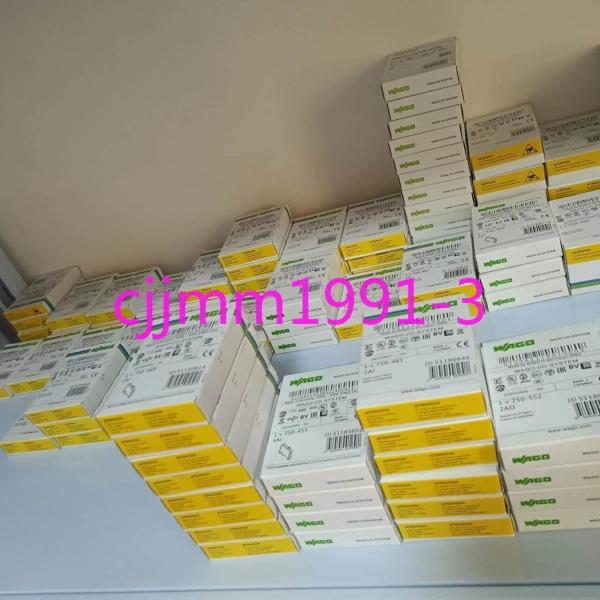 1PC NEW WAGO Module 750-4501PC新しいWagoモジュール750-450