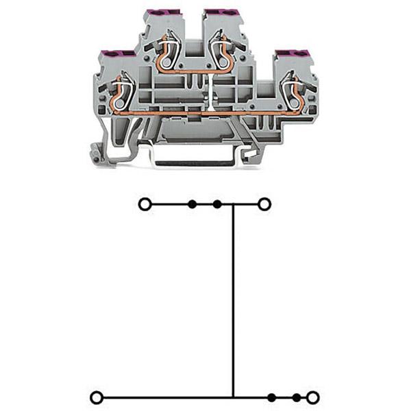 Neutral-through terminal block with 2-decks/levels (double-deck) + internal commoning - Suitable for Ex I applications -...