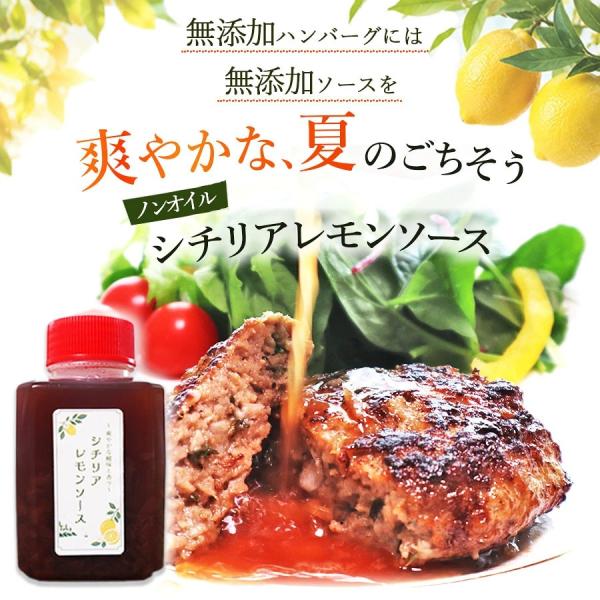 新ソース、できました玉ねぎ入りの和風ソースをベースに、まろやかな酸味が特徴のシチリア産レモン果汁でさっぱり仕上げました。かけた料理の味を邪魔しない絶妙なバランスを追求し、美味しさを引き上げてくれる、そんなソースです。暑さで食欲が落ちやすい夏...