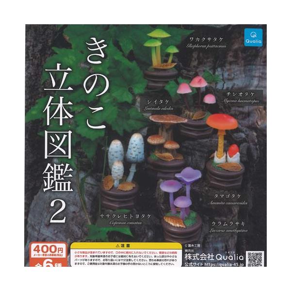 【発売日：2026年01月17日】Qualia 400円カプセル自販機商品のフルコンプです。【きのこ 立体図鑑 2 全6種セット】★ラインナップの種類は以下となります。 1：タマゴタケ 2：ウラムラサキ 3：ササクレヒトヨタケ 4：ワカクサ...